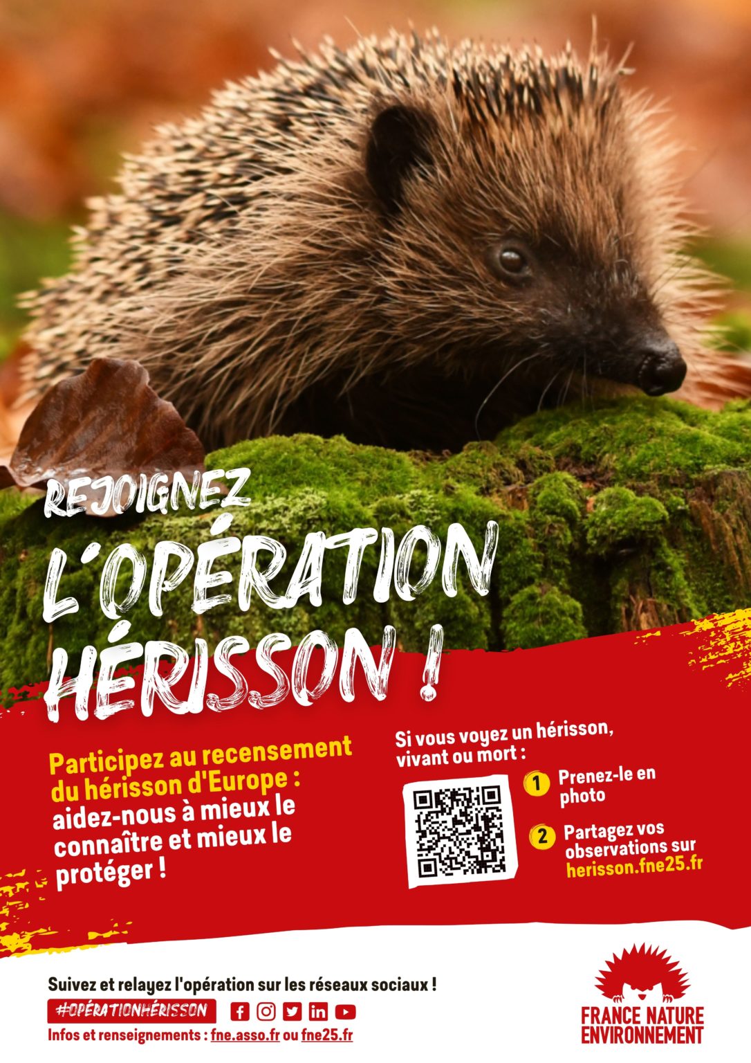 FNE hauts de france Fête du Hérisson 2023